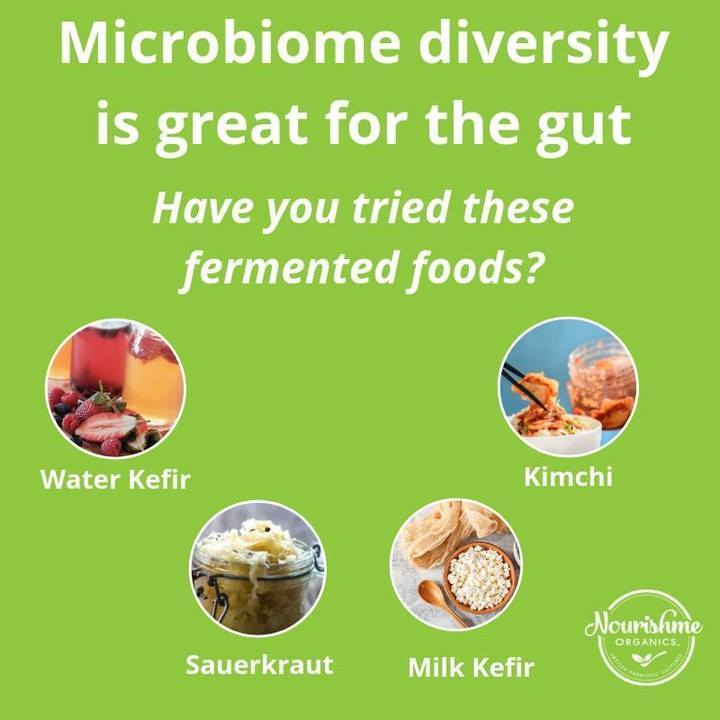Microbiome Diversity is Great for Gut Health – Nourishme Organics