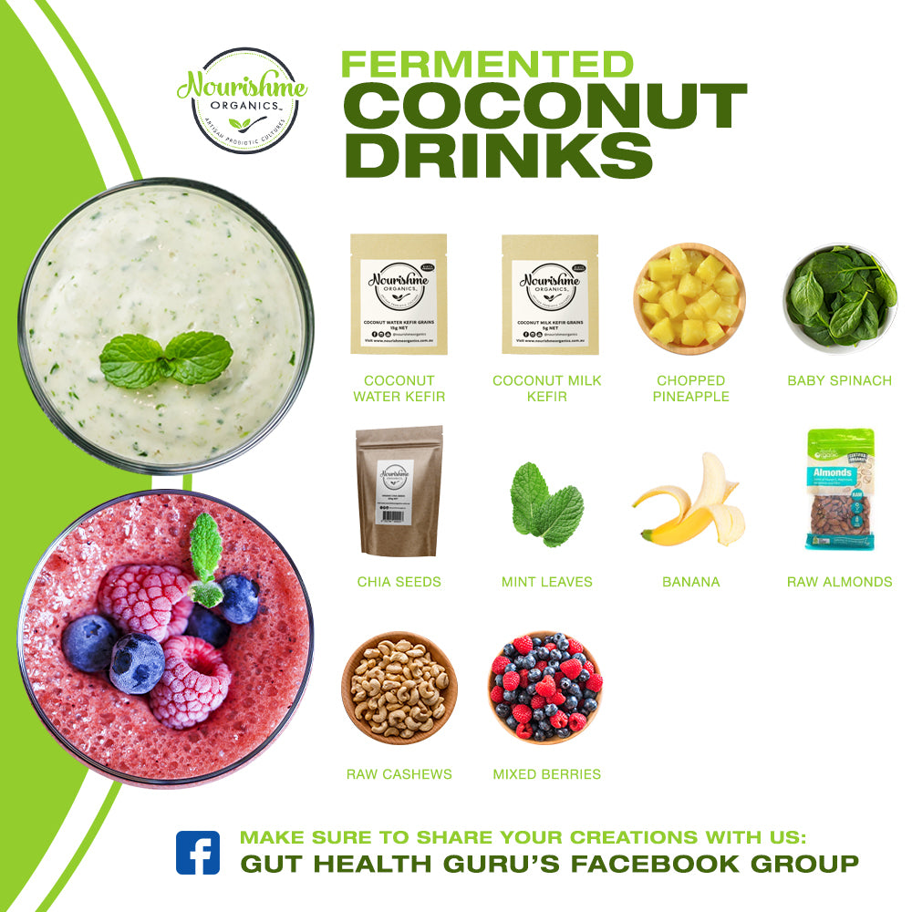 Fermented Coconut Drinks – Nourishme Organics