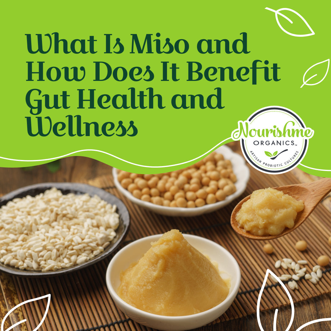What Is Miso and How Does It Benefit Gut Health and Wellness ...