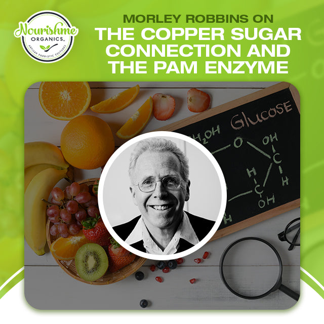 Morley Robbins on The Copper Sugar Connection and the PAM Enzyme ...
