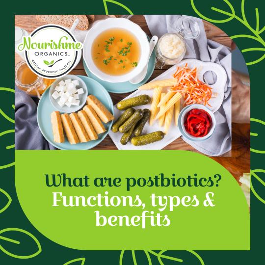 What are Postbiotics? | Functions, Types & Benefits – Nourishme Organics