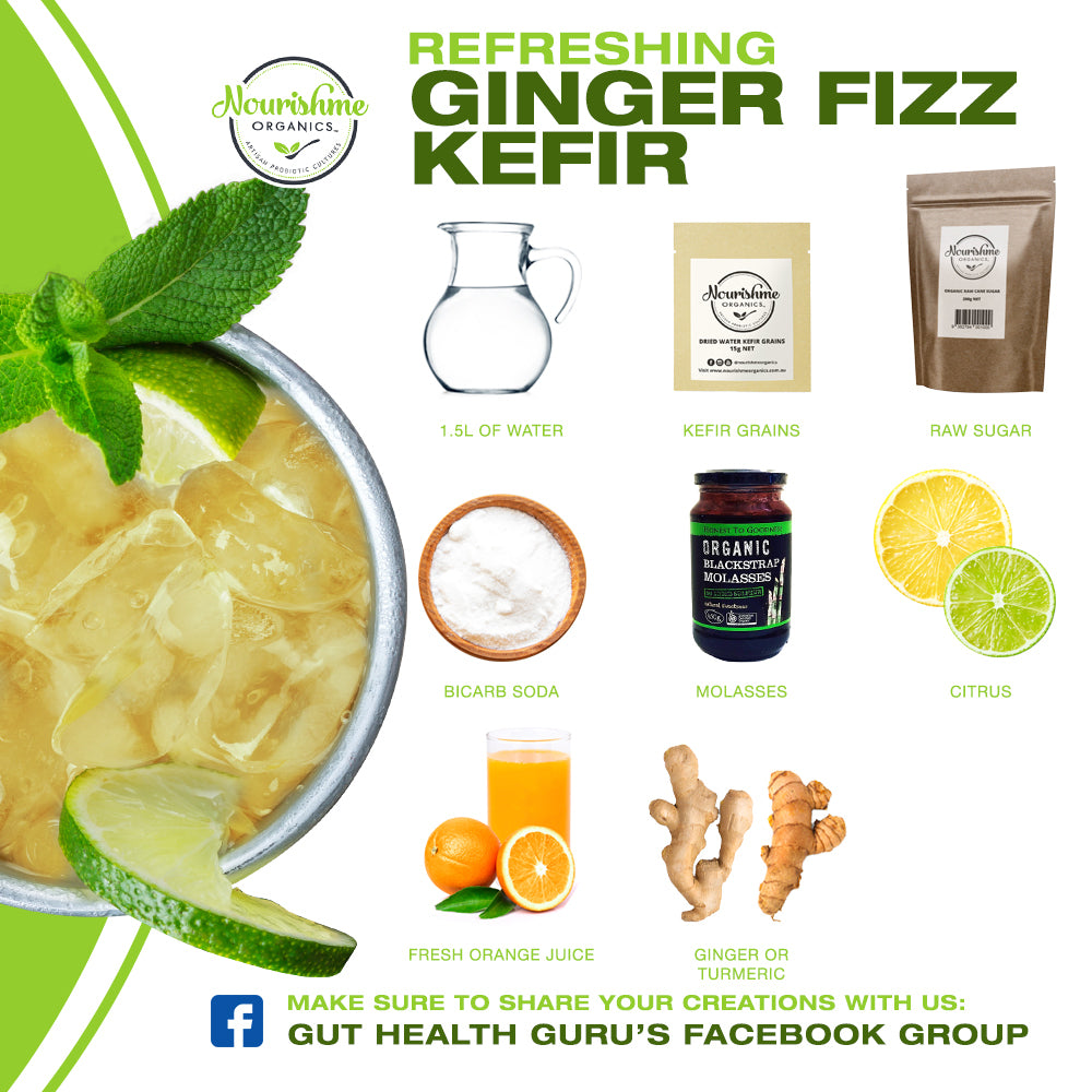 Ginger Fizz Kefir – Nourishme Organics