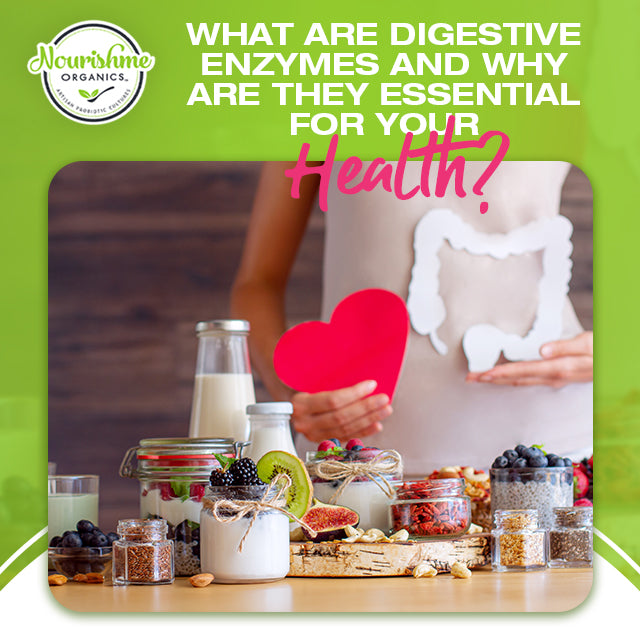 What Are Digestive Enzymes and Why Are They Essential For Your Health ...