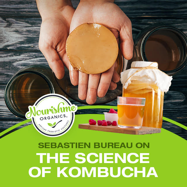 Sebastien Bureau on The Science of Kombucha – Nourishme Organics