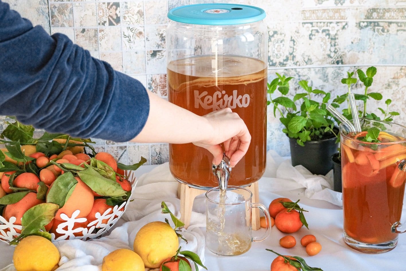 Make Kombucha | 6 L Kefirko Glass Kombucha Maker | Nourishme Organics