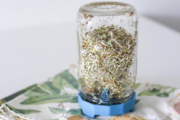 Complete Sprouting Kit- Nourishme Organics