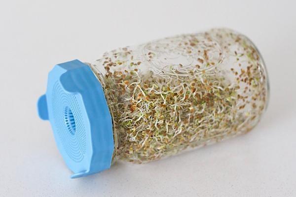 Complete Sprouting Kit- Nourishme Organics