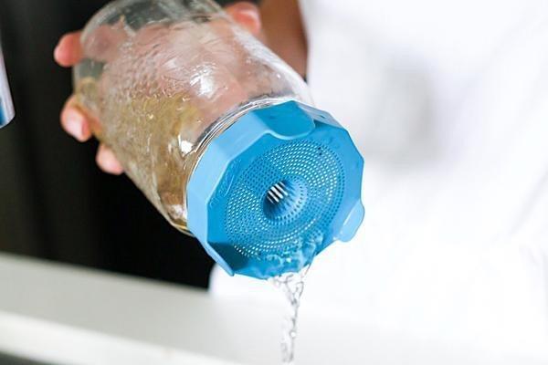 Bean Screen - Bean Sprouting Lids for Mason Jars - 2 Pack – Nourishme ...